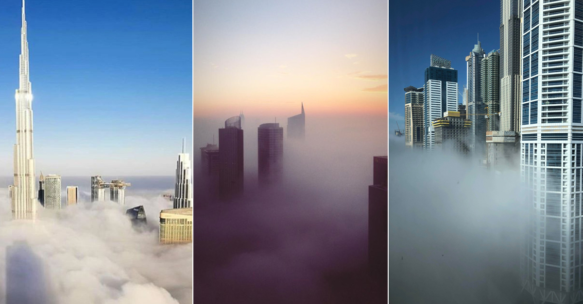 In pics: Dubai wakes up under a blanket of fog - What's on Dubai