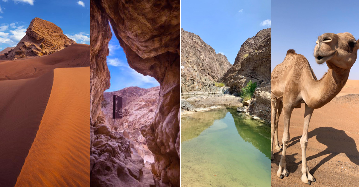 Explore wadis, dunes and historic sites with this new UAE excursion