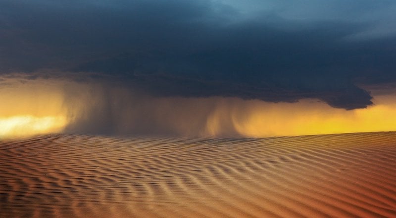 Watch: Wild weather as sandstorms hit Abu Dhabi - What's On