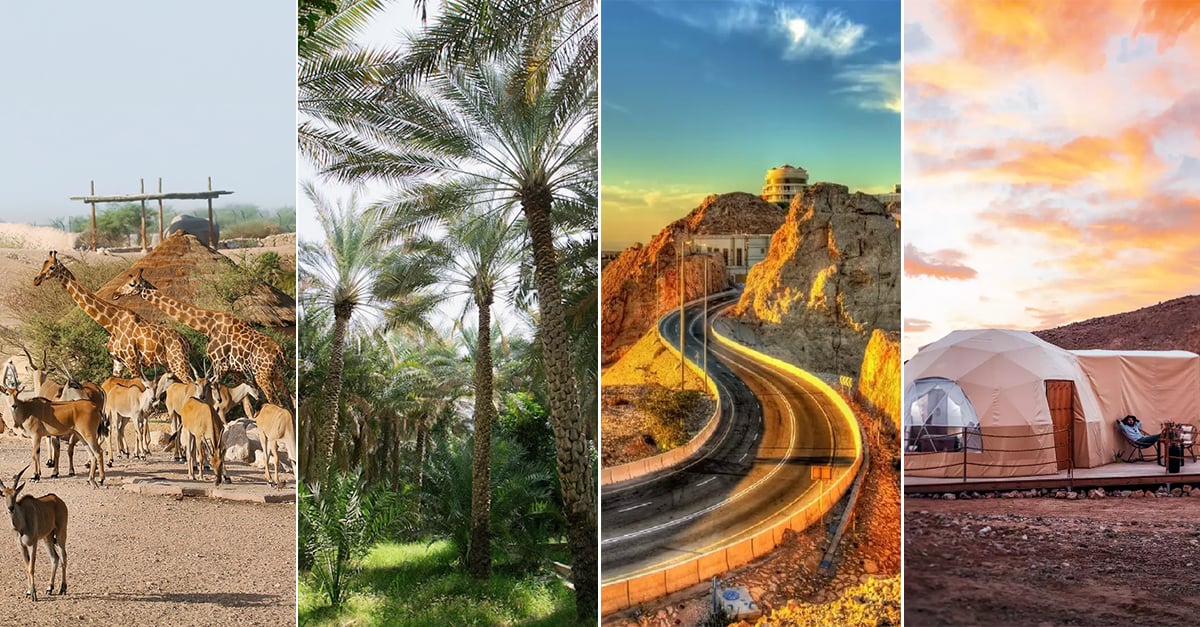 8 amazing things to do in Al Ain - What's On