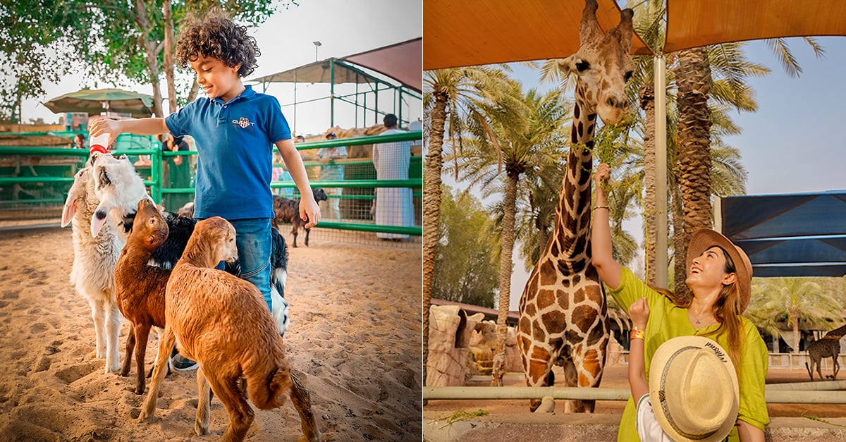 Limited time offer: Get free entry to Emirates Park Zoo